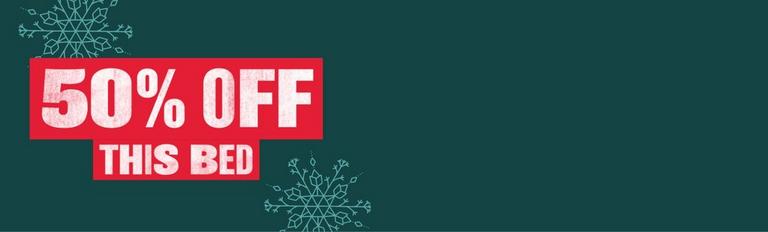 Cecelia King 2 Drawer Bedframe | DFS