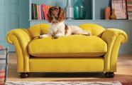 Large Dog Sofa Bed Online